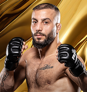 The Official Site of Professional Fighters League | Professional ...